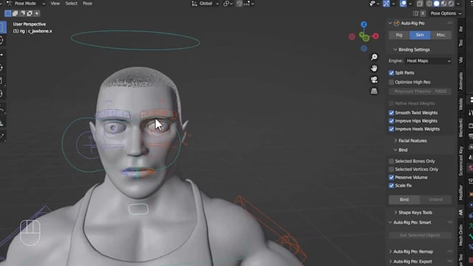 Rig 3d character, armature rig,animate,rigify,mixamo rig, auto rig,maya ...