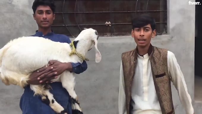 Record funny happy birthday video by Atif_29 | Fiverr