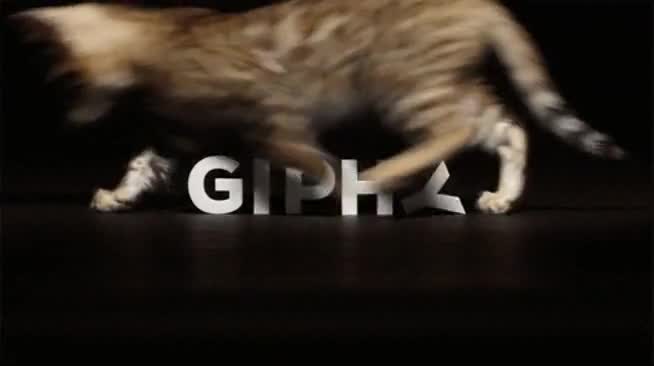 Design an eye catching animated gif and logo by Ayokunmih27 | Fiverr