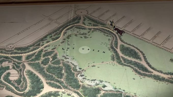 Create a professional 2d, 3d map travel animation, google map,3d map ...