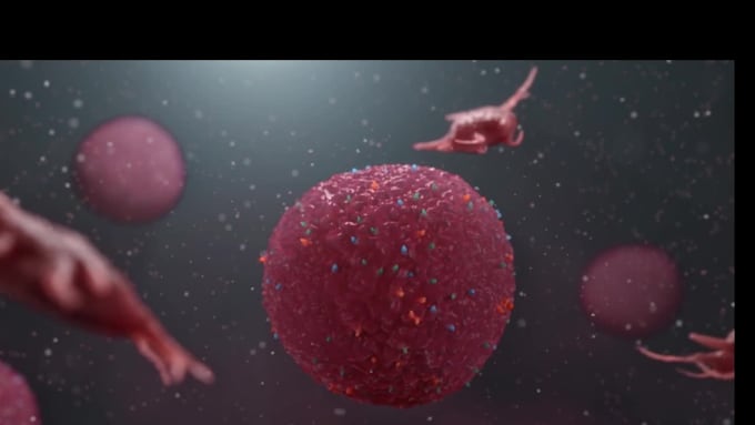 Medical animated explainer video,3d medical animation,sugery anatomy ...