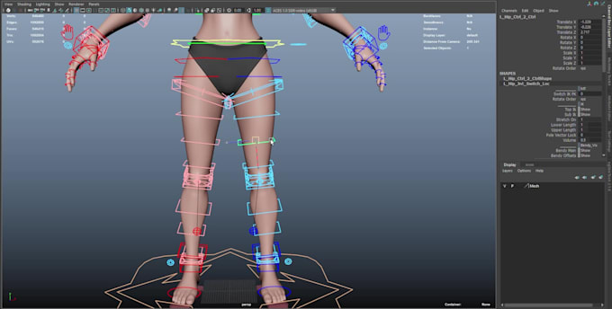Create a character rig for you by Chiarasanasi | Fiverr