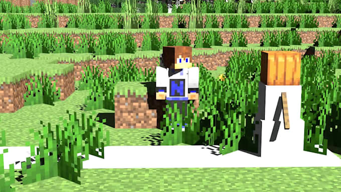 Make you a minecraft animation by Nikoanimation | Fiverr