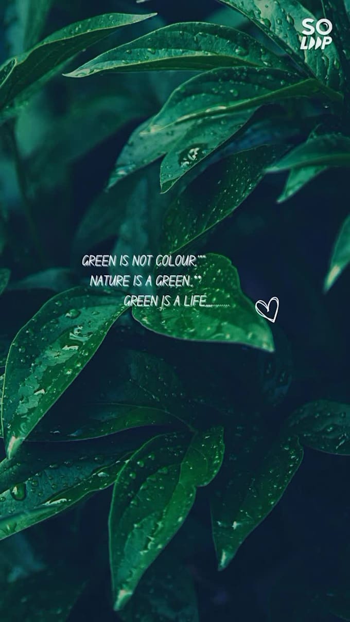 Do good editing pictures are with music effects by Premaprakya | Fiverr