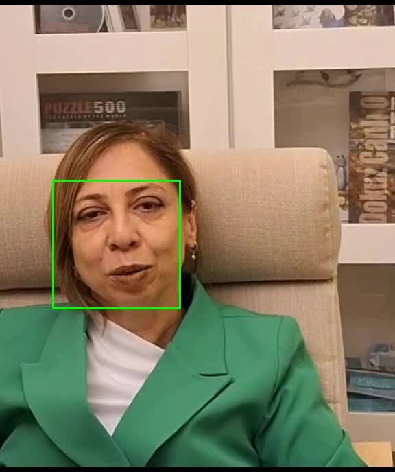 Do Face Recognition Classification Object Detection Tasks By Alpha Software Fiverr