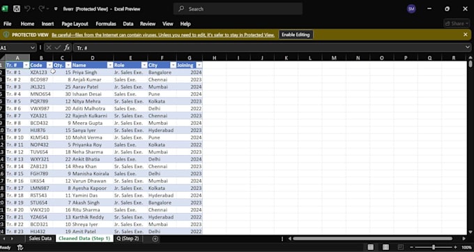 Clean, format, merge, split excel data by Susil_mishra | Fiverr