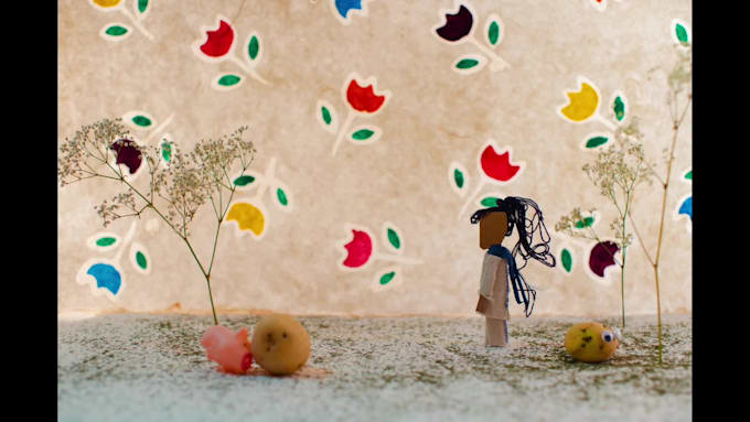 Create professional stop motion animation videos for you by ...