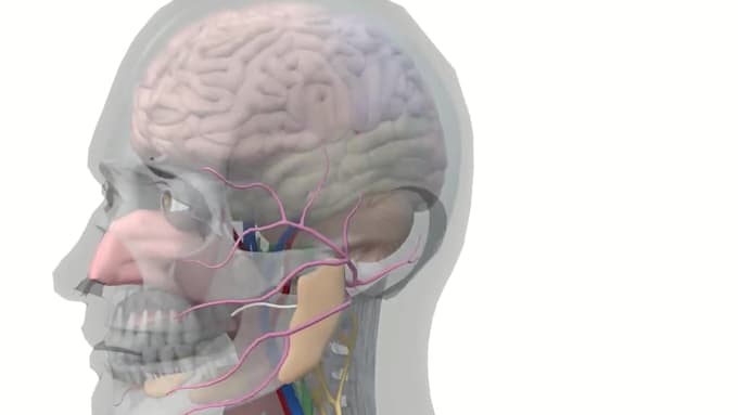 Create aesthetics 3d medical animation, medical animation by ...