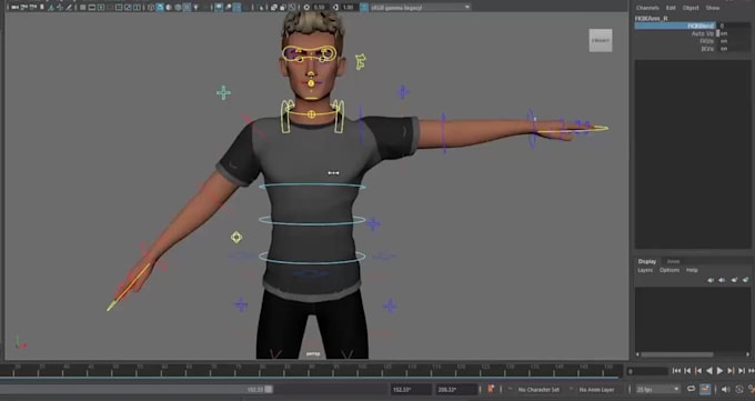 Build 3d character for wonder dynamic, blender rigging by Francosus ...