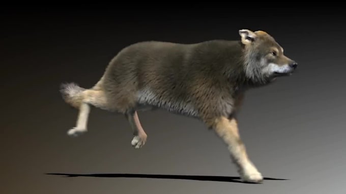 Do 3d animal model, 3d cgi product and 3d animation, cgi vfx by ...