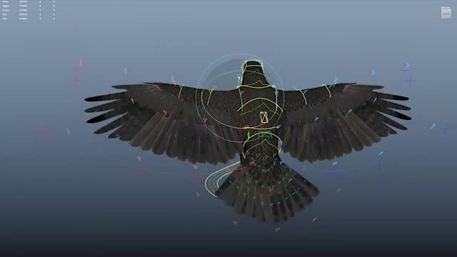 Do realistic 3d birds animation full rigged bird model for film or game ...