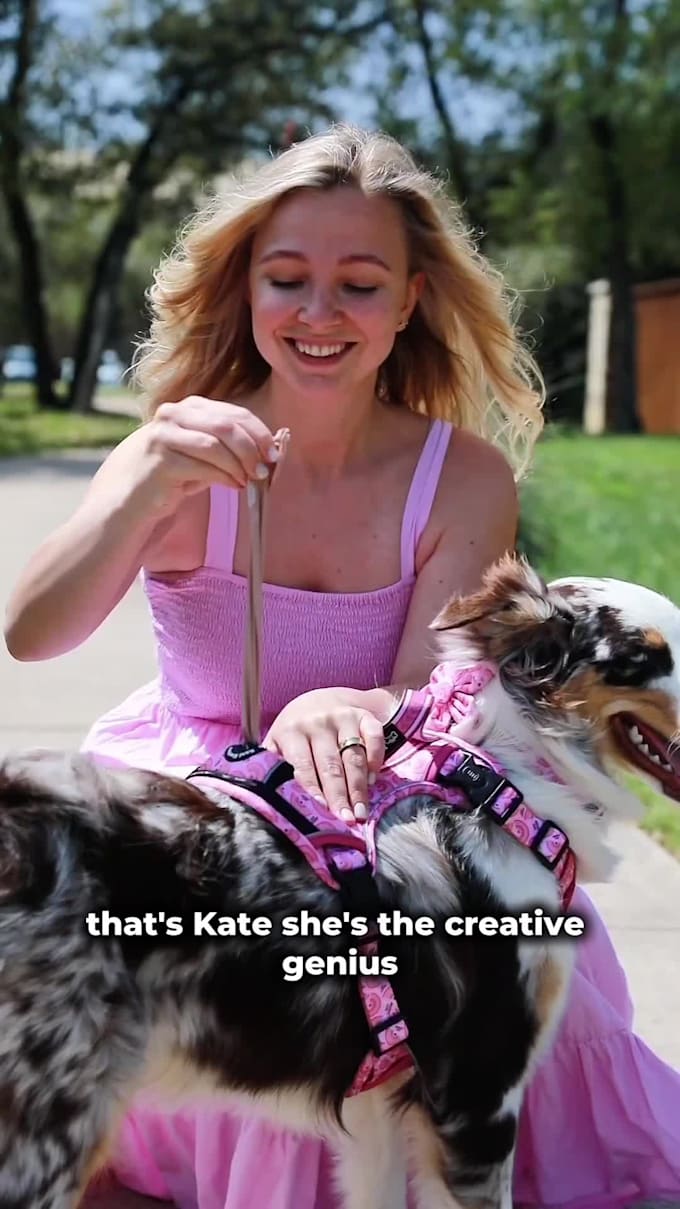Create dog ugc videos for your pet product also ads, ig, tiktok ...