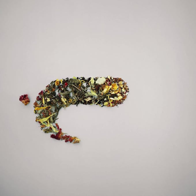 Create a unique stop motion animated logo for your brand by Csinos | Fiverr