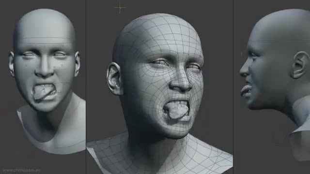 Iclone faclal rig,rig animaze avatar model,unreal engine,rig 3d avatar ...
