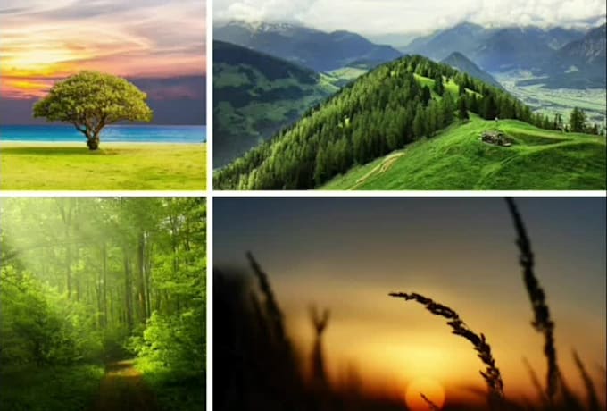 Create unique and eye catching designs on canva by Designbysundus | Fiverr