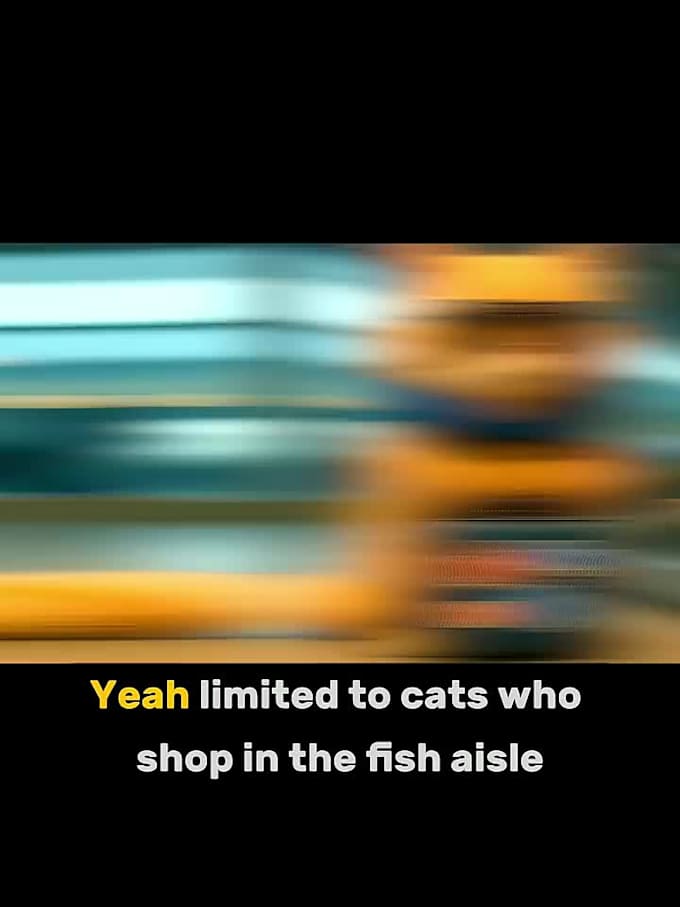 Do 3d video animation, pixar style mascot animation, 3d ai animation ...