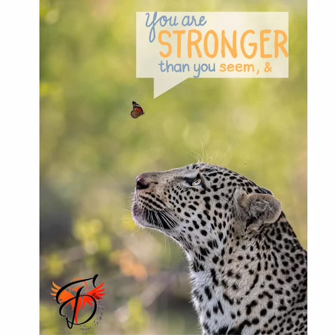 Design exotic book covers by Tabeer_fatima | Fiverr