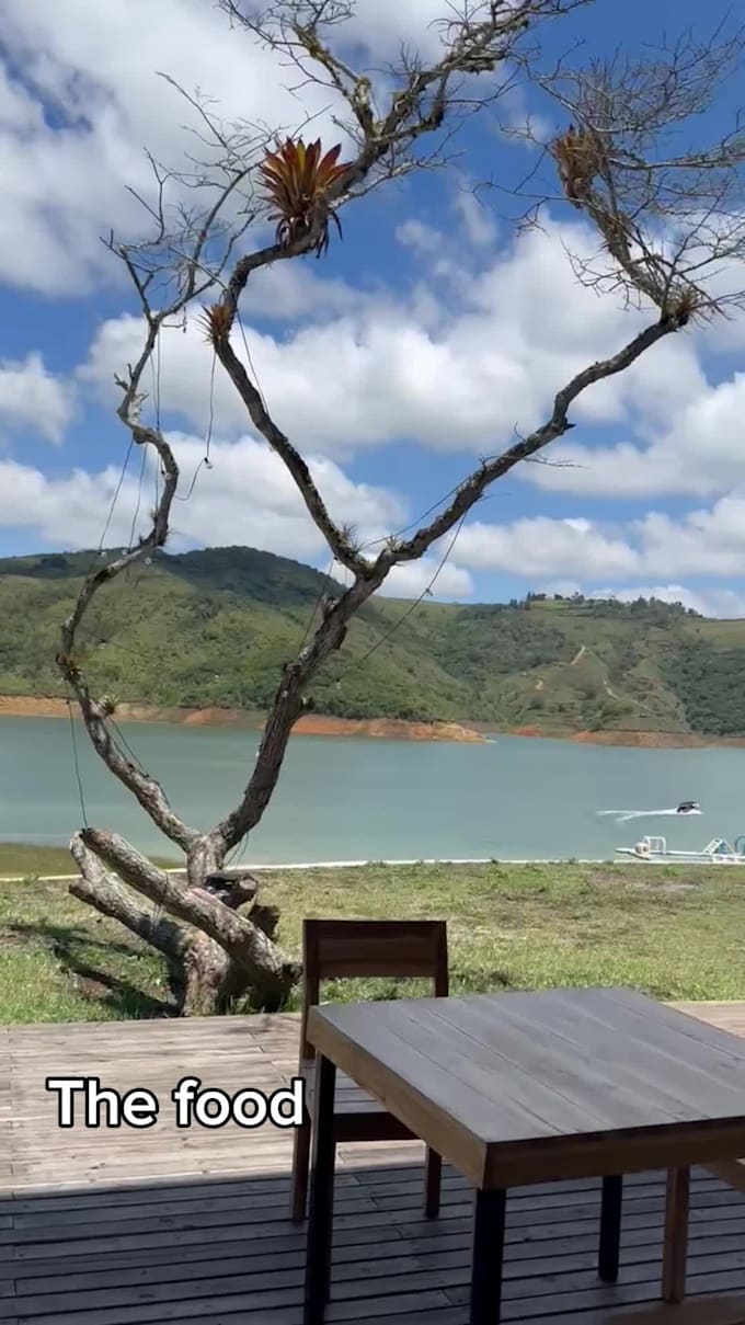 Create an ugc reel in english for tiktok, instagram and other socials ...