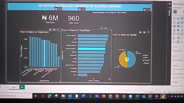 Do your data analysis using excel dashboard and power bi by Horlatee | Fiverr