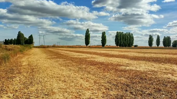 Add motion to your still image picture, animate artwork by Ivannalaka ...