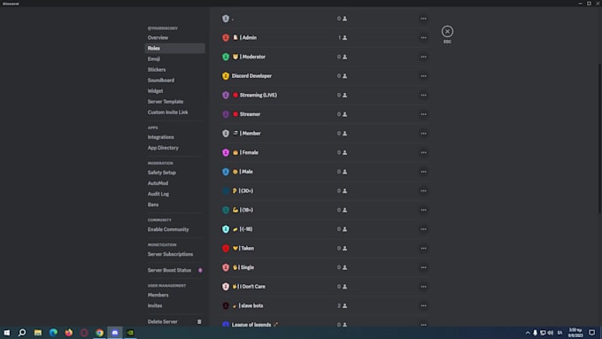 Give you owner role of simple discord server ready to use by ...