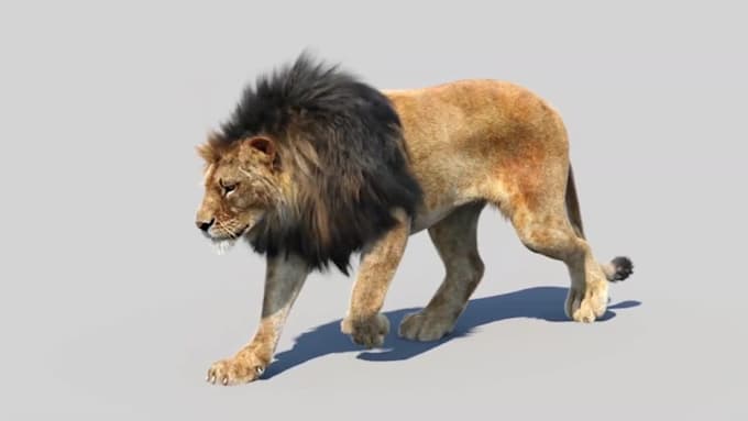 3d animal model, texture, rig and animation with realistic hair by ...