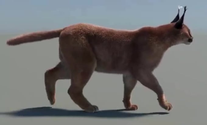 3d animal model 3d animal animation fur 3d model for cgi with full ...