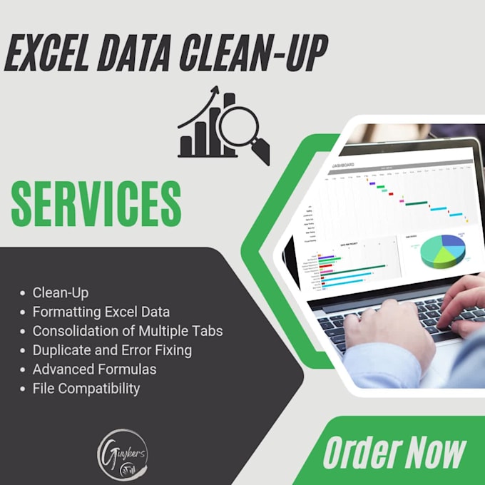 Build Custom Excel Sheets With Advanced Functions And Data Analysis By Mguykers Fiverr