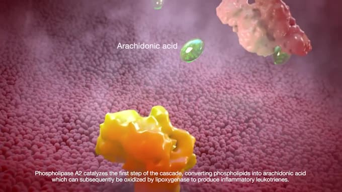 Do 3d medical animation moa pharma nsaids pain relief drug organ ...