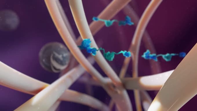 Create aesthetic 3d medical animation, medical illustration, animated ...