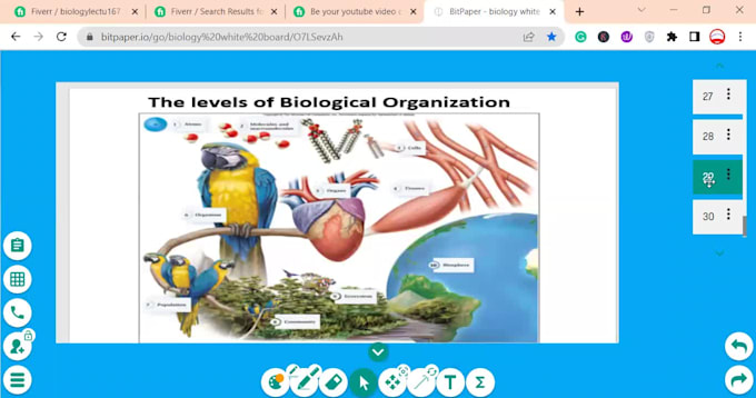 Create biology videos for your youtube channel by Biologylectu167 | Fiverr