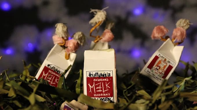 Create a unique stop motion animation video for you by Melkkid482 | Fiverr