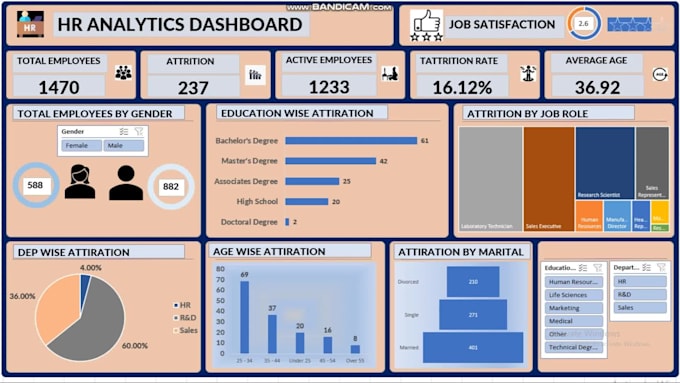 Do data entry, data cleaning , web research, excel dashboard by ...