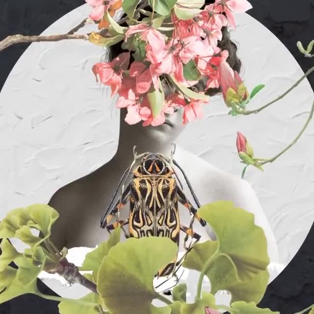 Create digital collage and animation by Fernandezlorca | Fiverr