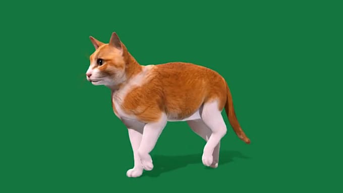 Realistic 3d animal animation for xgen hair, 3d animal cgi, 3d animal ...