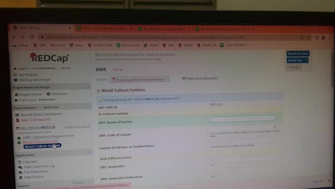 Do all kinds of data entry works on excel, word, pdf and redcap by ...