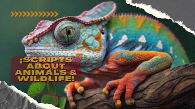 Write scripts about wildlife and animal scripts by Fernandoescobr | Fiverr