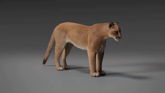 Do 3d cgi animal animation, 3d animal model, animal rigging, 3d ...