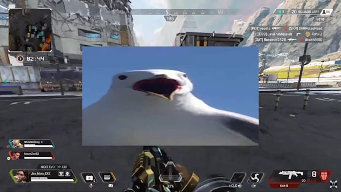 Edit your video with memes, background music, and more by Black_jax ...