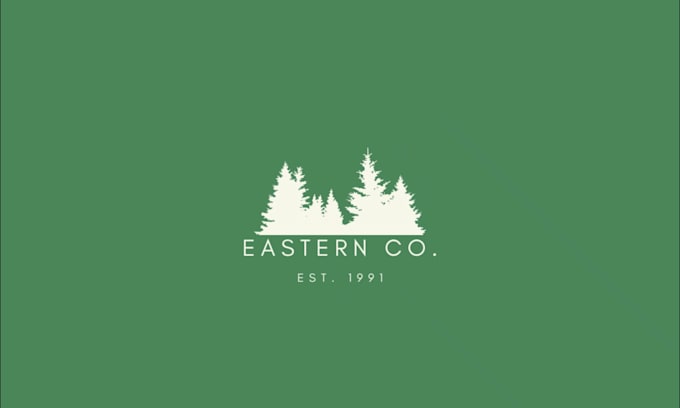 Design creative, fun, modern logo with all files in 72hr by ...