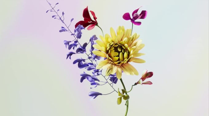 Create photorealistic vfx plant model, cgi flower design, 3d plant ...