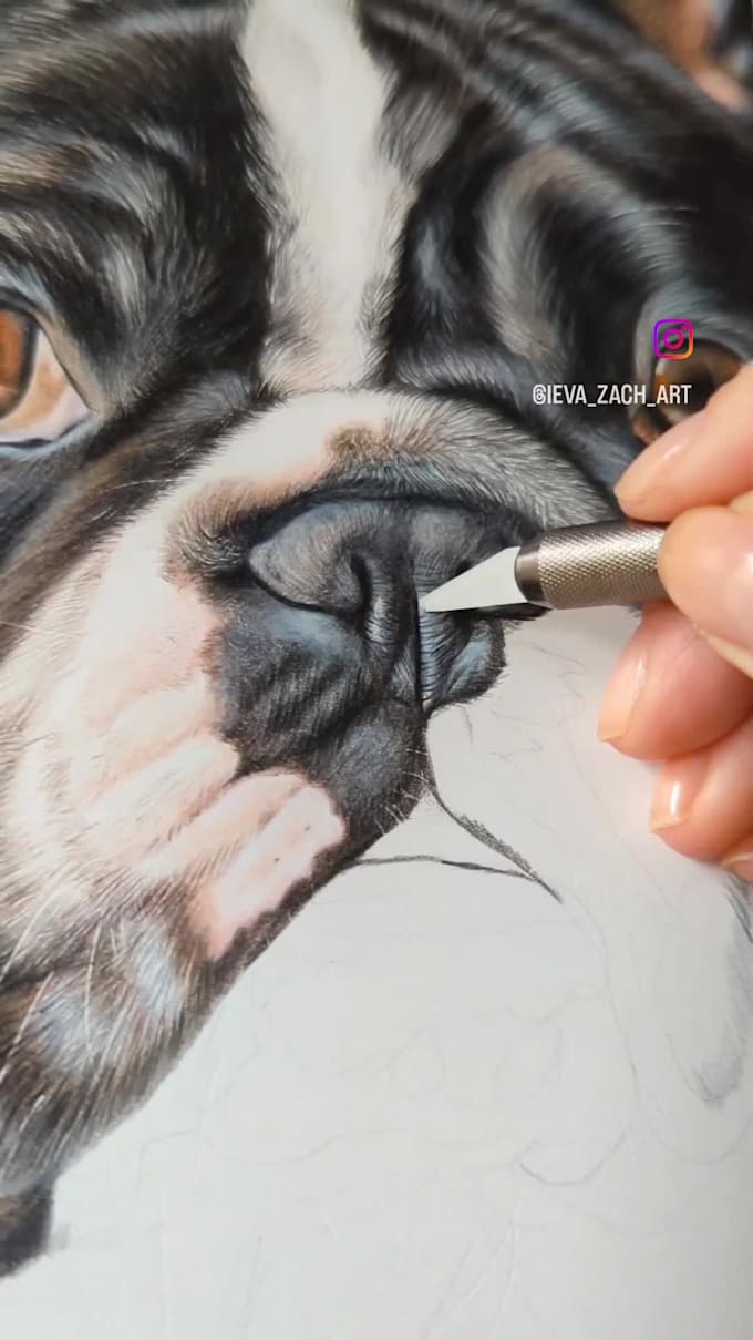 Draw a pet portrait for you by Ieva_zach_art | Fiverr