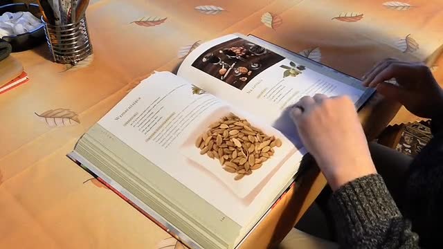 Make some magic artist by Waleeyahia | Fiverr