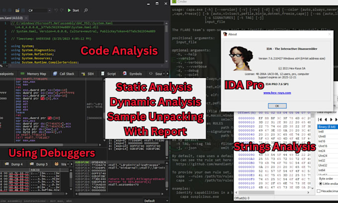 Do static, dynamic malware analysis with reverse engineering by Sabeer_shad | Fiverr