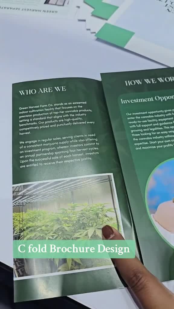 Design flyers, brochures, leaflets by Mktgdevsolution | Fiverr