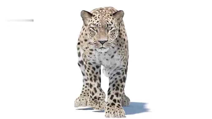 Do realistic 3d animal animation 3d cgi animal design, 3d animal ...