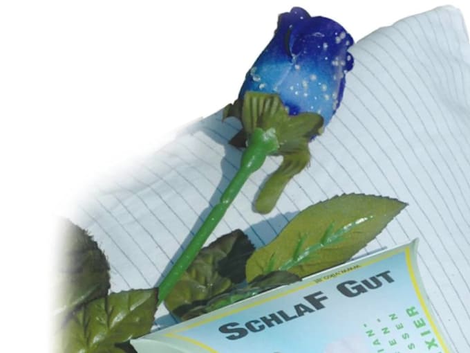 Professional design of german print materials by Jangl | Fiverr