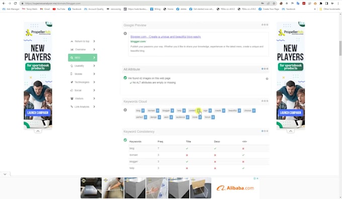 Develop a turbo website reviewer in depth seo analysis tool by ...