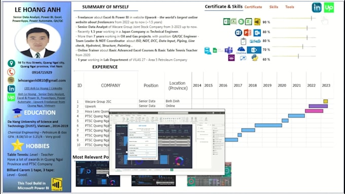 Create cv by power bi by Kanguru08 | Fiverr