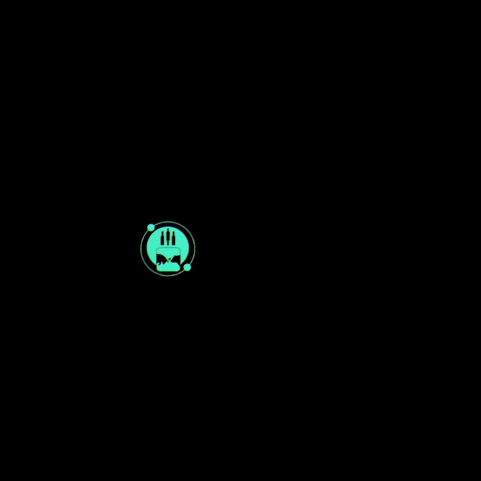 Create a unique and professional logo animation by Allyins | Fiverr